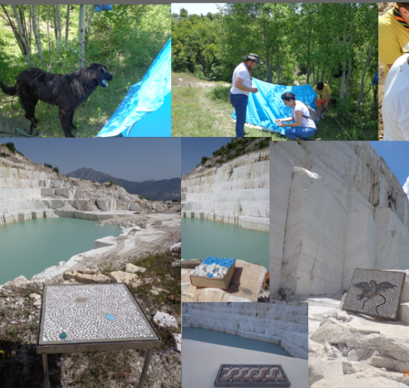 natureexpedition.org – natureexpedition.org